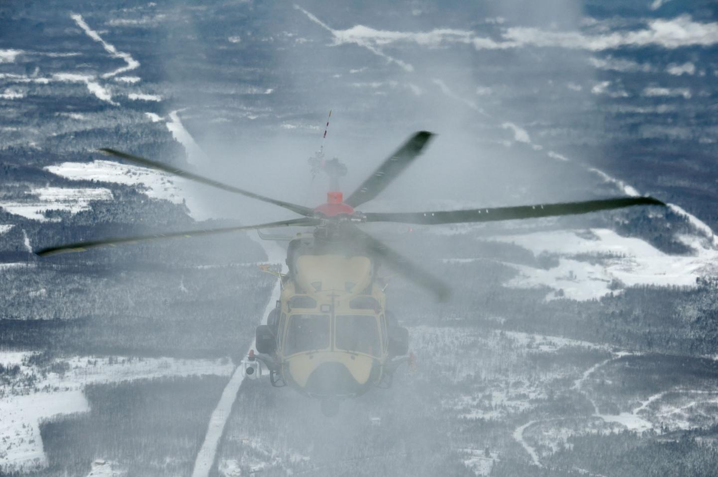 Full Ice Protection System (FIPS) | Leonardo in the UK