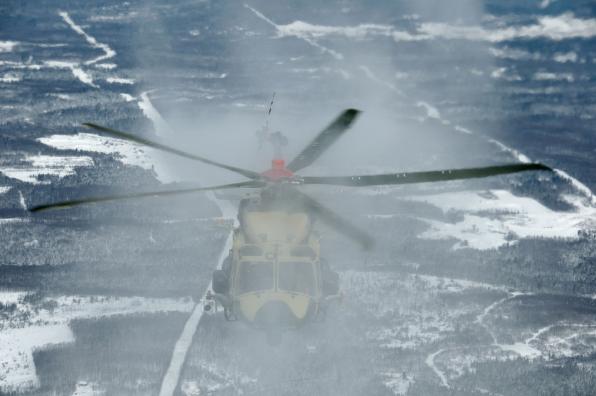 Full Ice Protection System (FIPS) | Leonardo in the UK